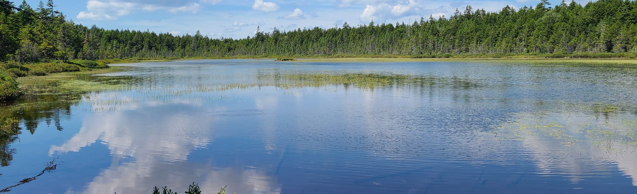 Tracey Lake Trail: 57 Reviews, Map - New Brunswick, Canada | AllTrails