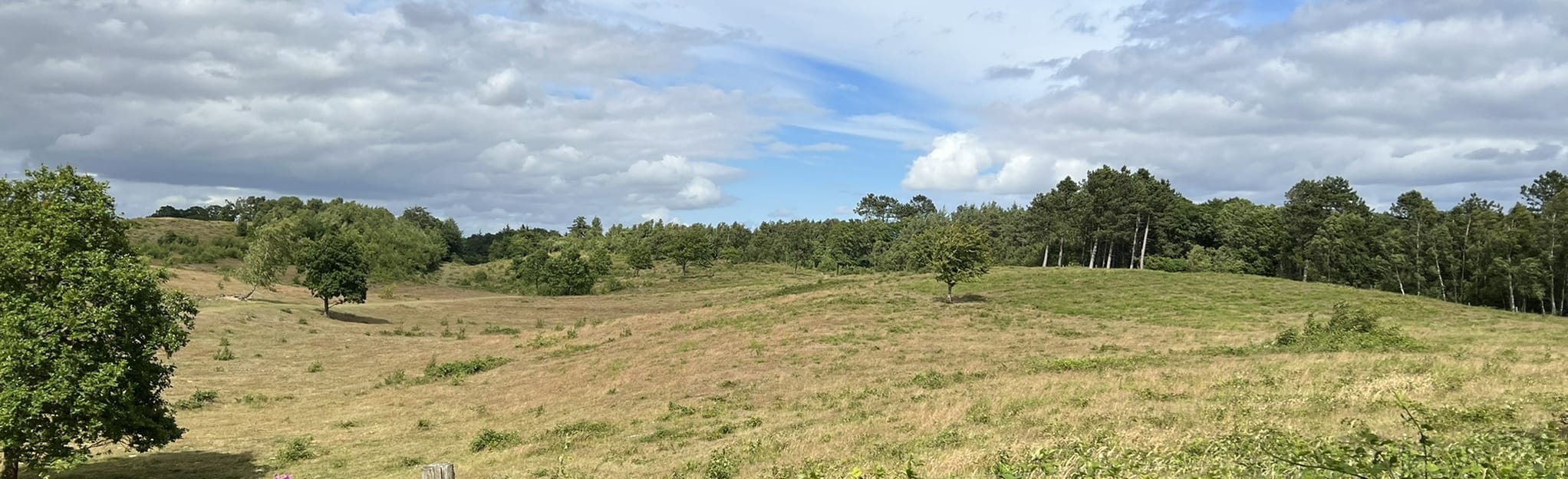 Mols Bjerge - Half Mountain Stage (North): 83 Reviews, Map - Central ...