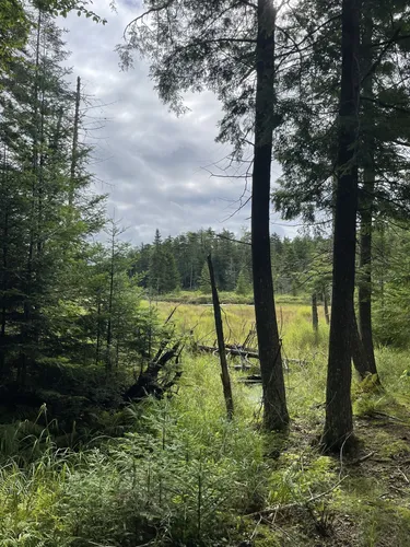 10 Best Trails and Hikes in Old Forge | AllTrails