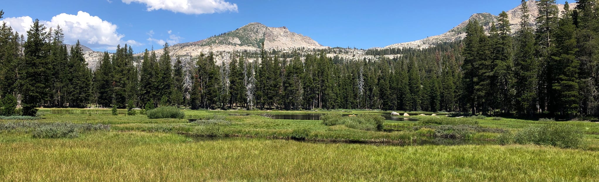 Maude Lake via Rockbound Trail: 411 foto's - Californië | AllTrails
