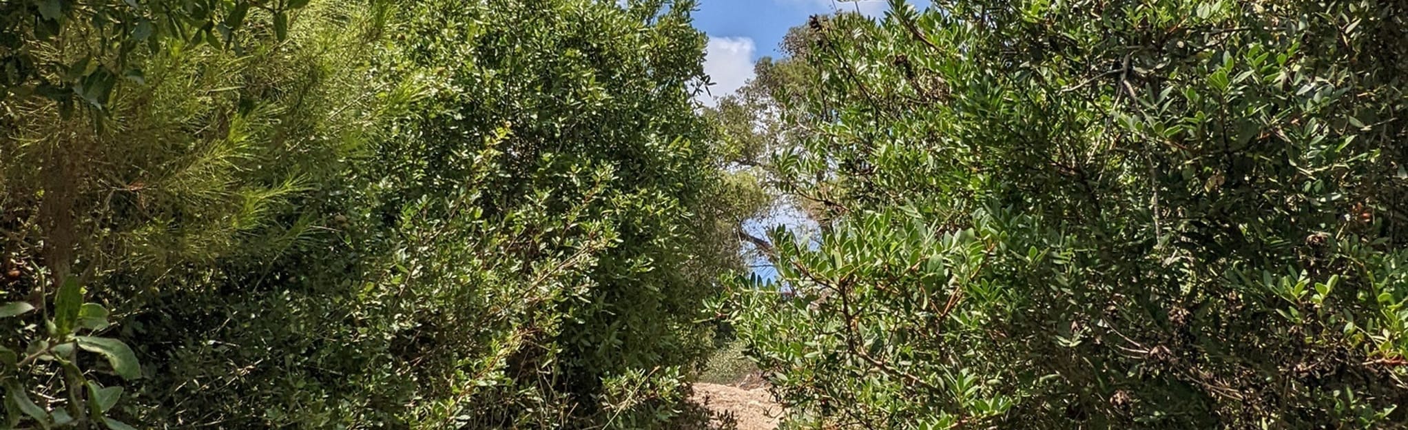 Tamar Lookout, Cliff Viewpoint and Haifa University Circuit: 0 Reviews ...