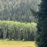 Whipple Trail, Utah - 284 Reviews, Map | AllTrails