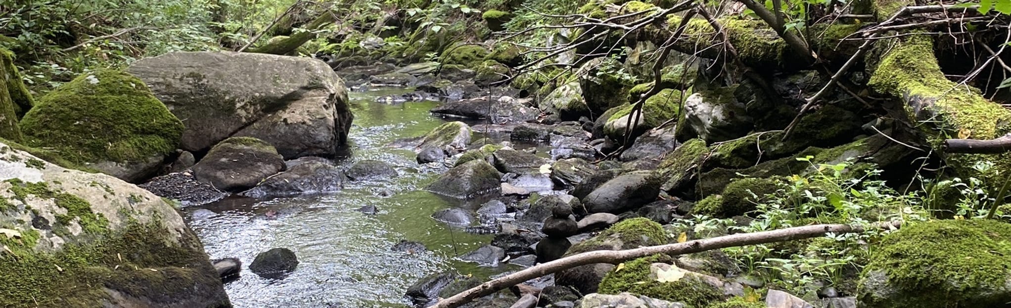 Loggers and Seeley Hill Trail Loop, Vermont - 26 Reviews, Map | AllTrails