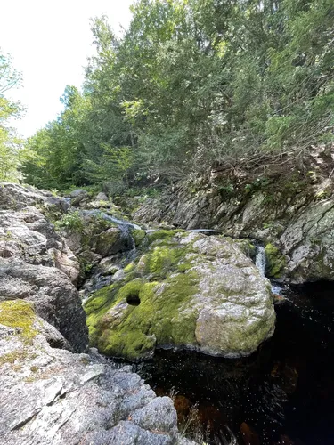 Best Hikes and Trails in Annapolis Valley Region | AllTrails