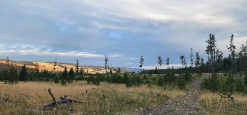 Best Walking Trails in Logan Lake | AllTrails