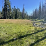 Grandaddy Basin Loop, Utah - 72 Reviews, Map | AllTrails