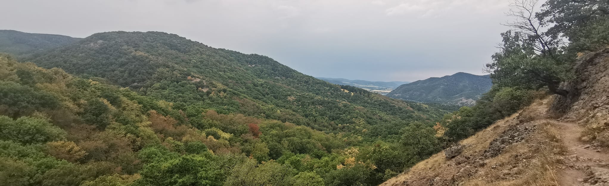 Leányfalu - Spartacus - Visegrád | Map, Guide - Pest, Hungary | AllTrails