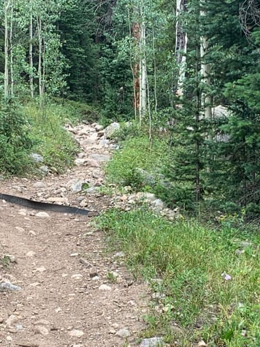 Best Hikes and Trails in Fossil Ridge Recreation Management Area ...