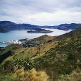 Bridle Path Walk to Summit Road Viewpoint, Canterbury, New Zealand ...