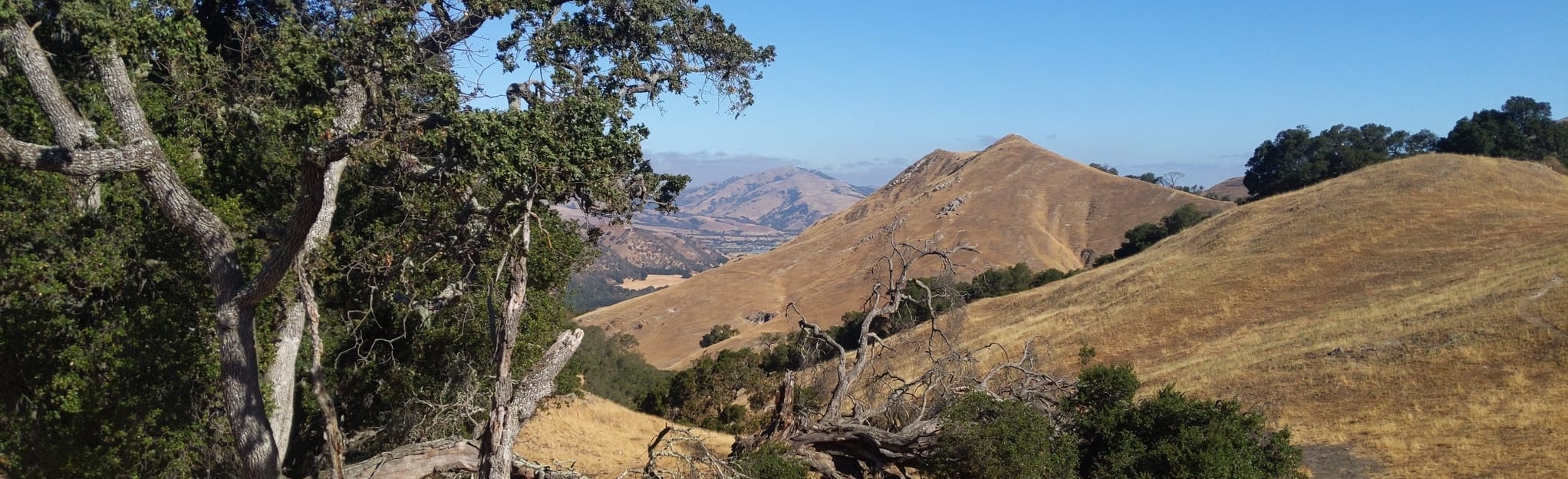 Flag Hill Loop Trail: 319 Reviews, Map - California | AllTrails