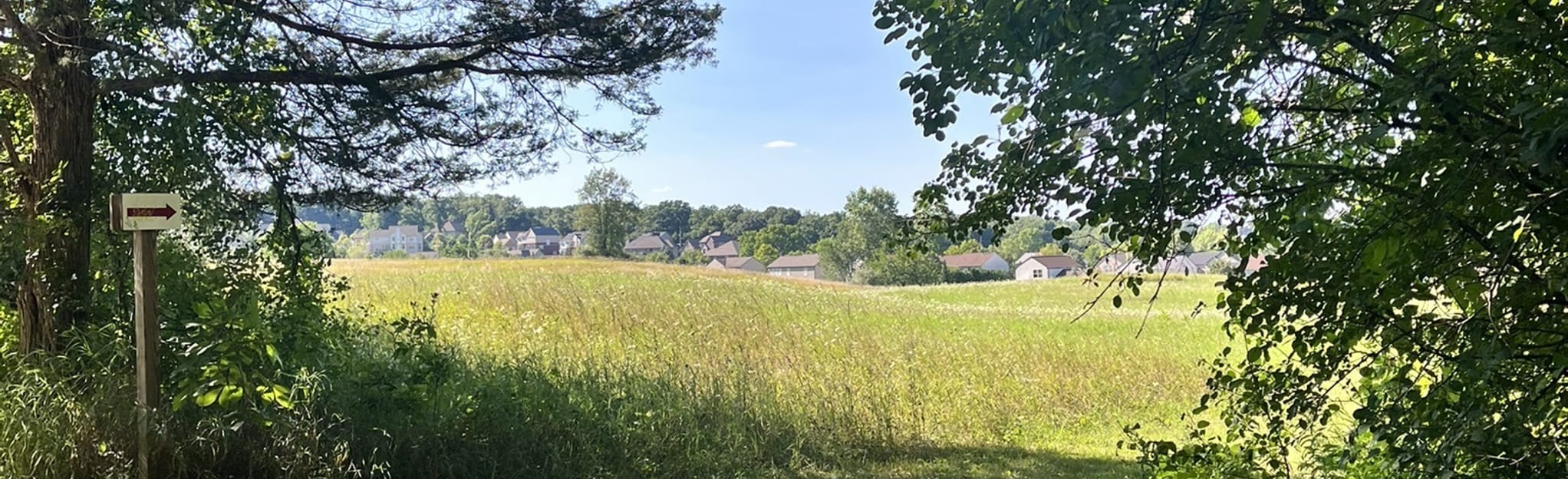 Hess Hathaway Loop | Map, Guide - Michigan | AllTrails