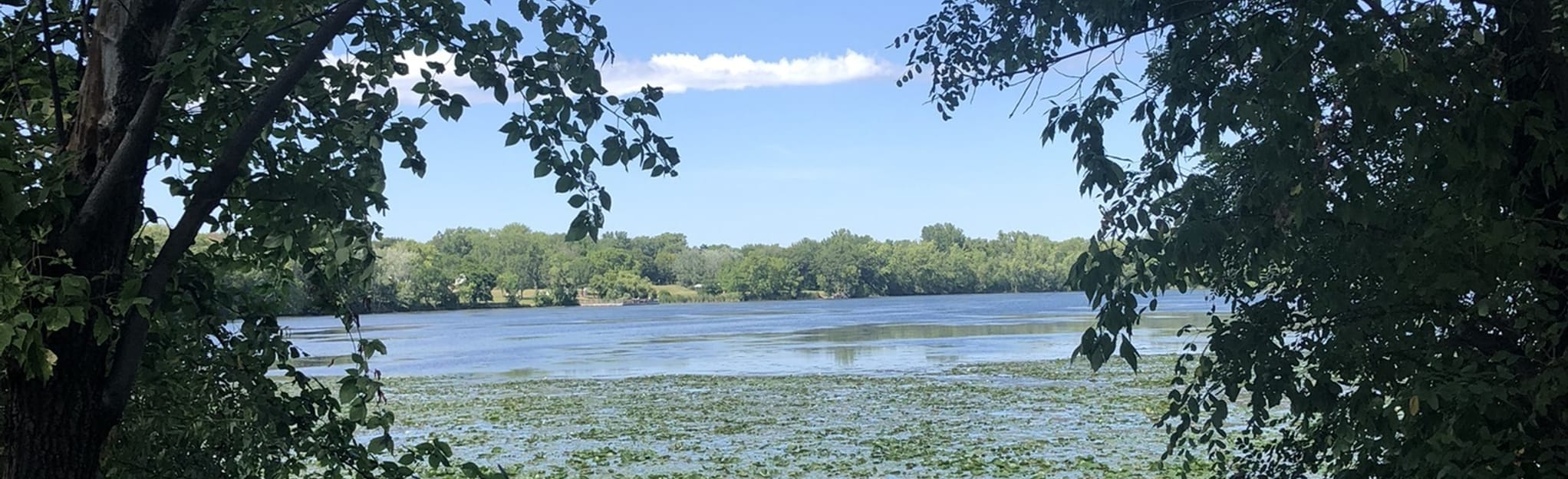 Beaver Lake: 88 Reviews, Map - Minnesota | AllTrails