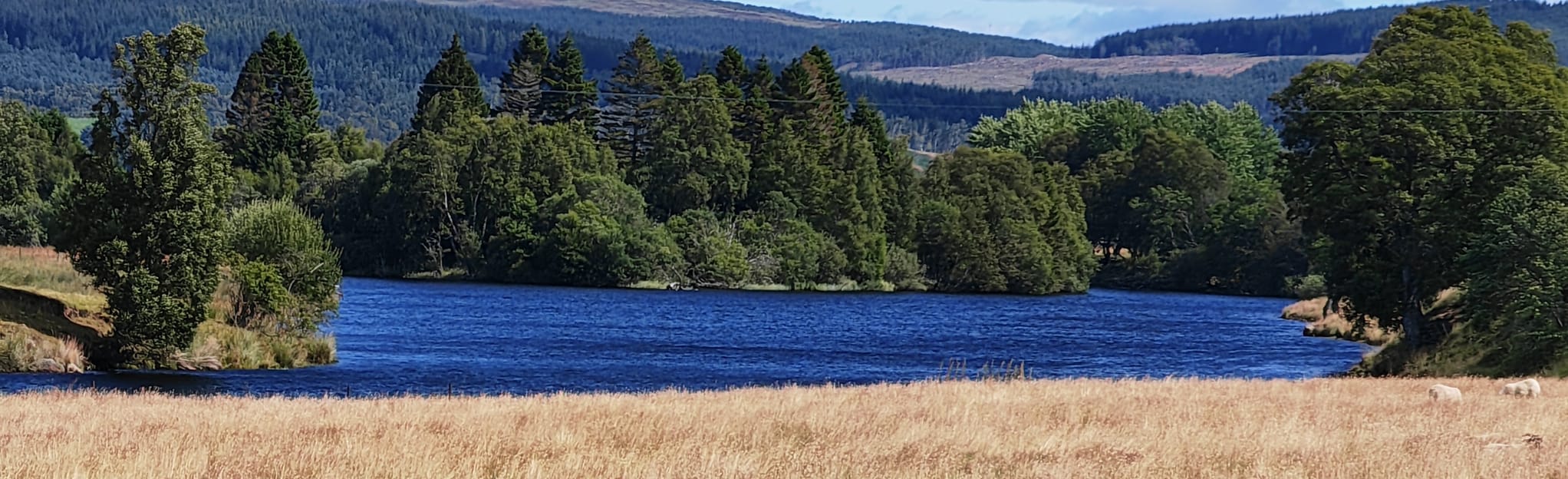 Kinloch Rannoch to Bridge of Gaur, Perth and Kinross, Scotland - 13 ...