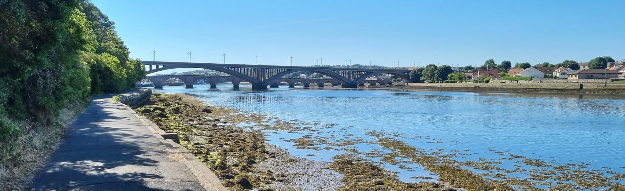 Berwick Estuary Walk: 92 Fotos - Northumberland, England | AllTrails