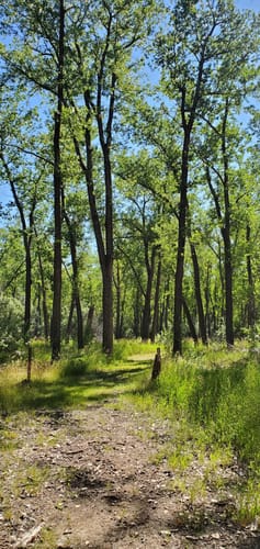 Best Hikes and Trails in Atkinson Nature Park | AllTrails