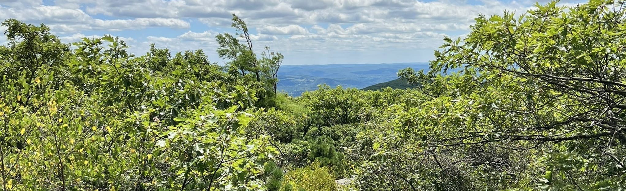 AllTrails | Jug End Rd to Bear Mountain via Appalachian Trail: 139 ...