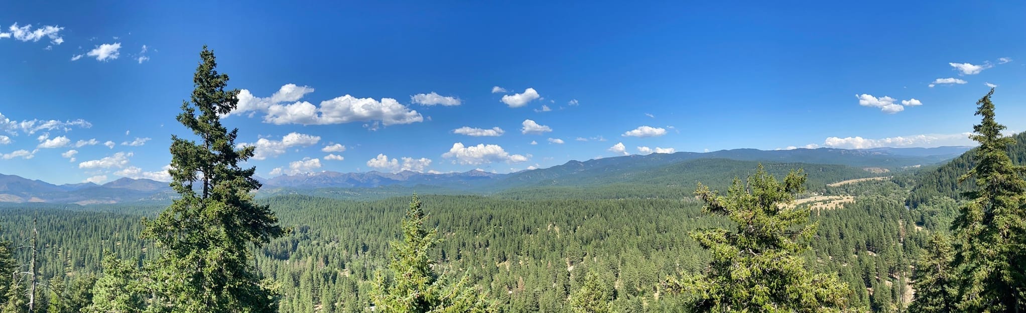 Cheese Rock Trail, Washington - 261 Reviews, Map | AllTrails