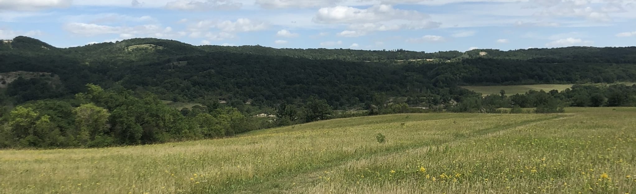 Porcupine Ridges Trail, Manitoba, Canada - 21 Reviews, Map | AllTrails