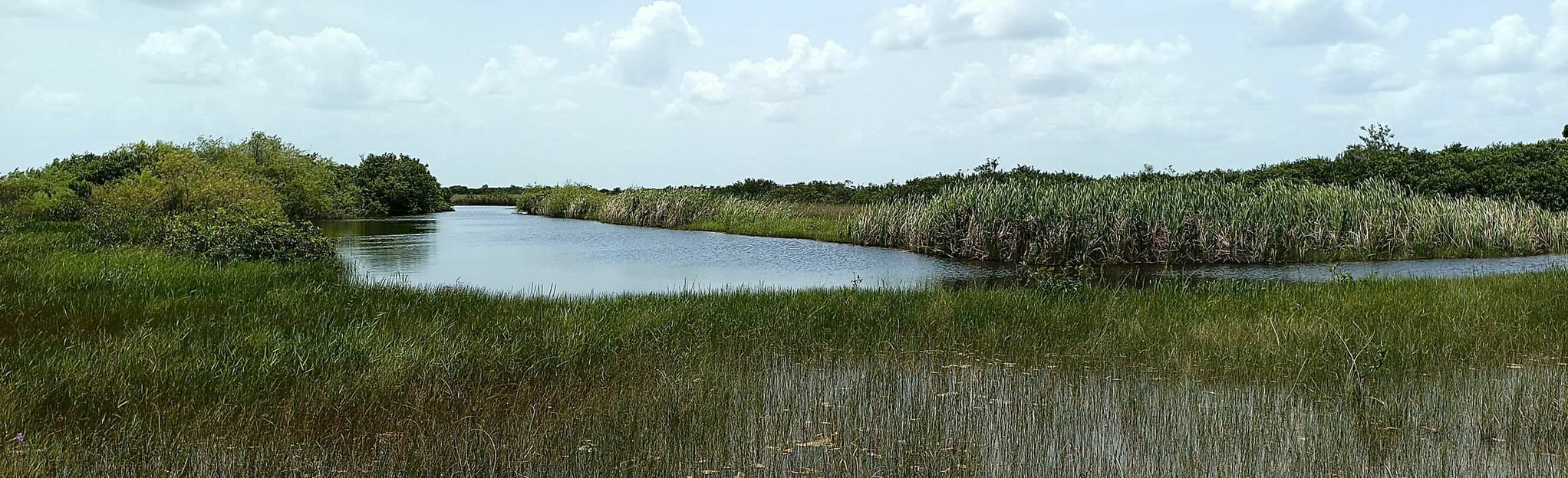 Shark Valley Tram Trail, Florida - 803 Reviews, Map | AllTrails