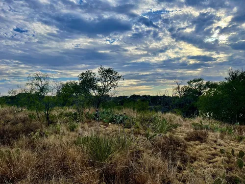 10 Best Trails and Hikes in Lubbock | AllTrails