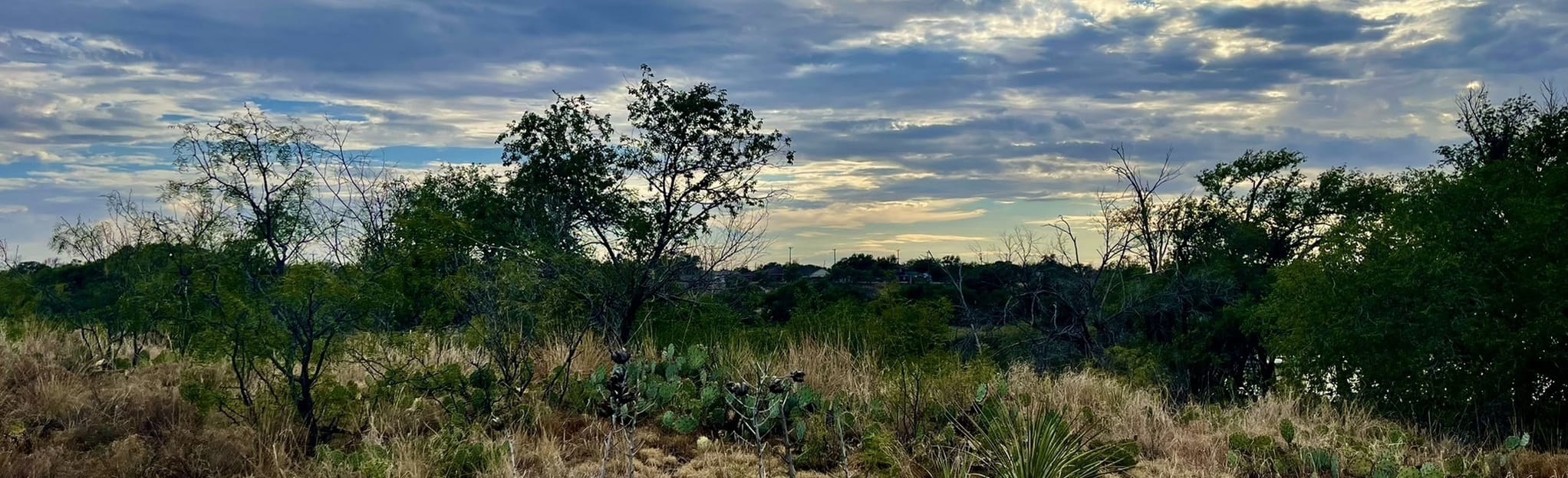 Dunbar Historical Lake East Loop: 49 Fotos - Texas | AllTrails