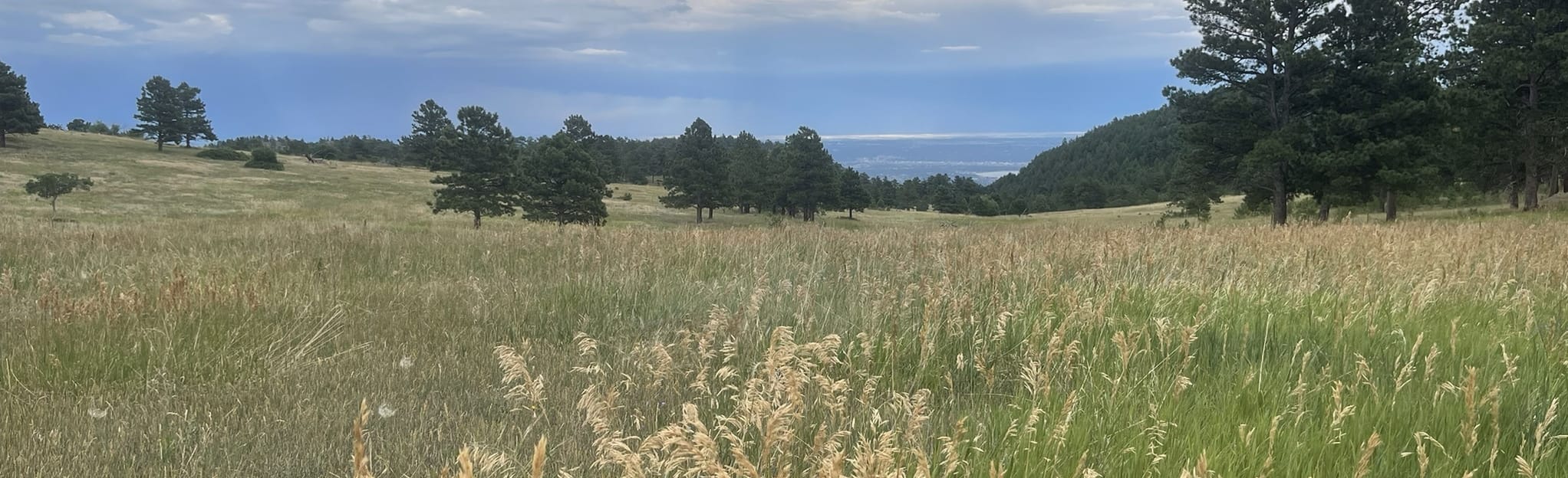 Mount Falcon Park Upper Loop - Colorado | AllTrails