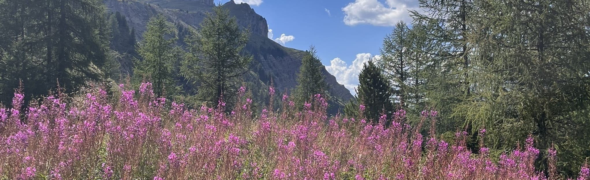 Peitlerkofel | Sass de Putia: 95 Reviews, Map - South Tyrol, Italy ...