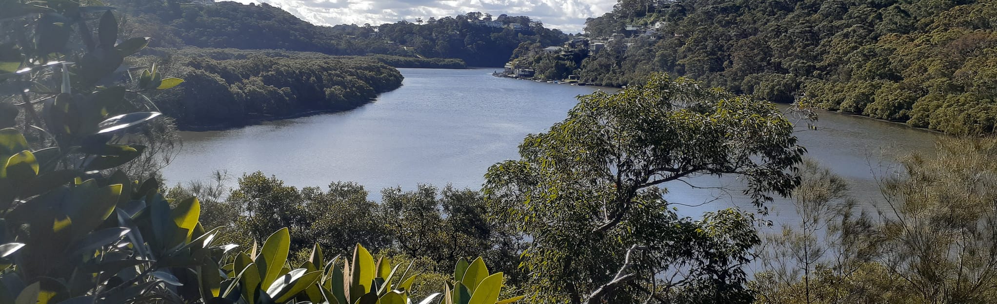 Bonnet Bay Bushwalk, New South Wales, Australia - 40 Reviews, Map ...