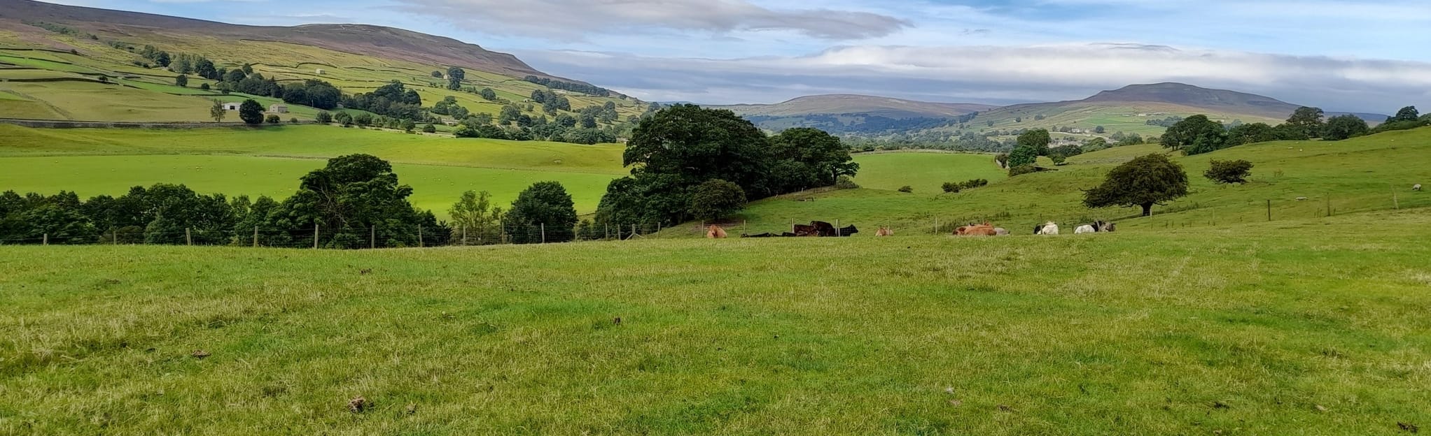 Coast to Coast Walk Segment 8: Reeth to Richmond: 130 Reviews, Map ...