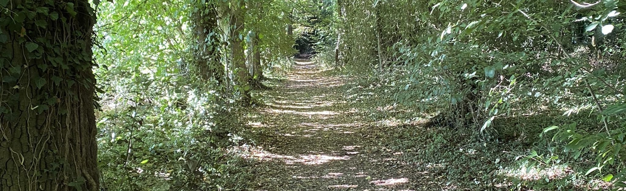 Tangley Circular: 8 Reviews, Map - Hampshire, England | AllTrails