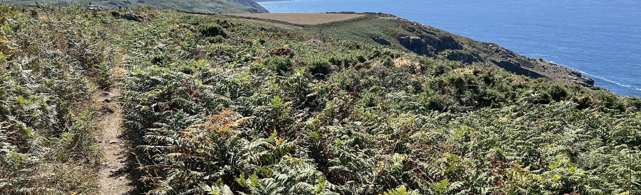 Zennor and Pendeen Circular via South West Coast Path, Cornwall ...