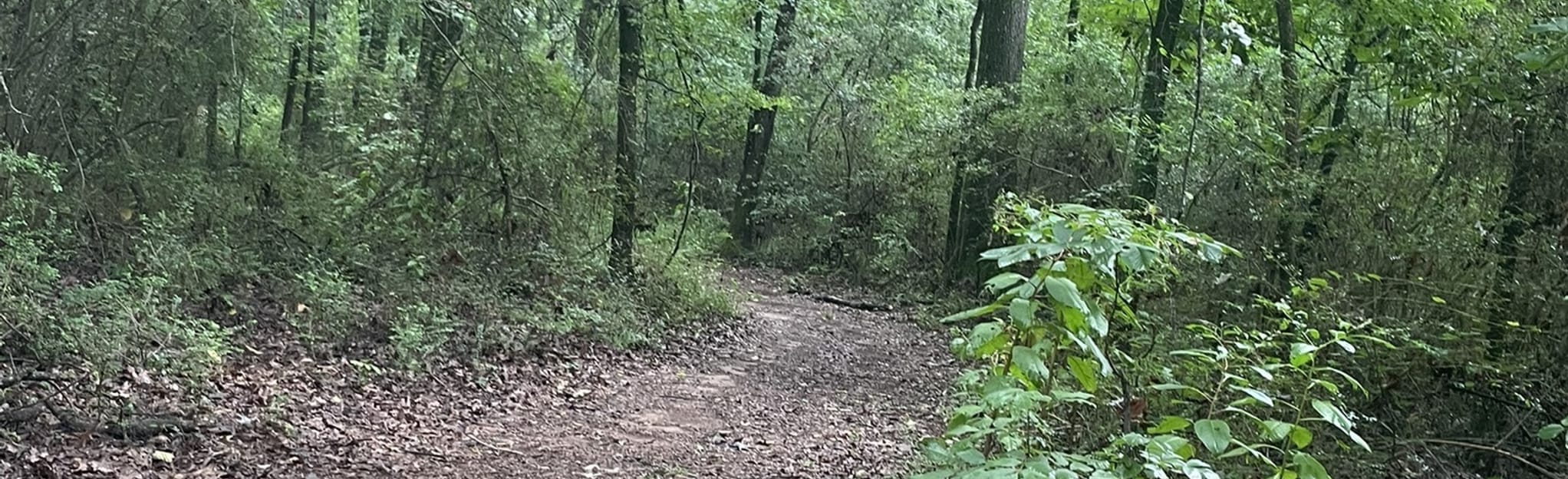 Joe Wheeler Multi-Use Trail: 56 Reviews, Map - Alabama | AllTrails