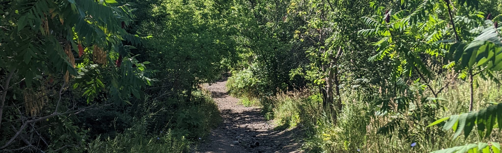 Credit Valley Footpath, Ontario, Canada - 199 Reviews, Map | AllTrails