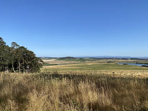 Best Hikes and Trails in Baskett Slough National Wildlife Refuge ...