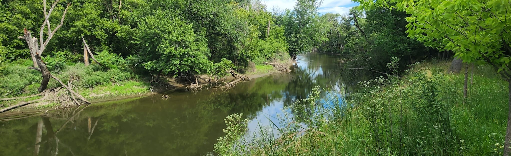 Catherine Chevalier Woods River Loop - Illinois | AllTrails