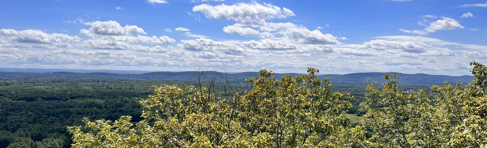 Simsbury Land Trust Cathles Full Trail, Connecticut - 36 Reviews, Map ...