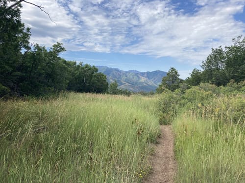 Best Hikes and Trails in Emigration Canyon | AllTrails