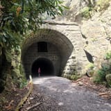 Poe Paddy Tunnel Loop, Pennsylvania - 66 Reviews, Map | AllTrails
