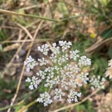 Laguna de Santa Rosa Loop Trail, California - 555 Reviews, Map | AllTrails