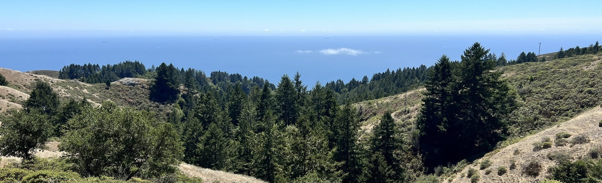 Bootjack to Cardiac Hill Loop, California - 103 Reviews, Map | AllTrails