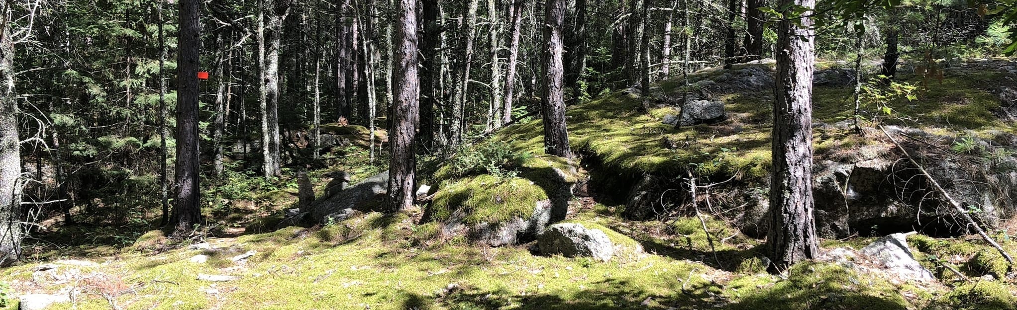 Kab-Ash Hiking Trail, Minnesota - 19 Reviews, Map | AllTrails