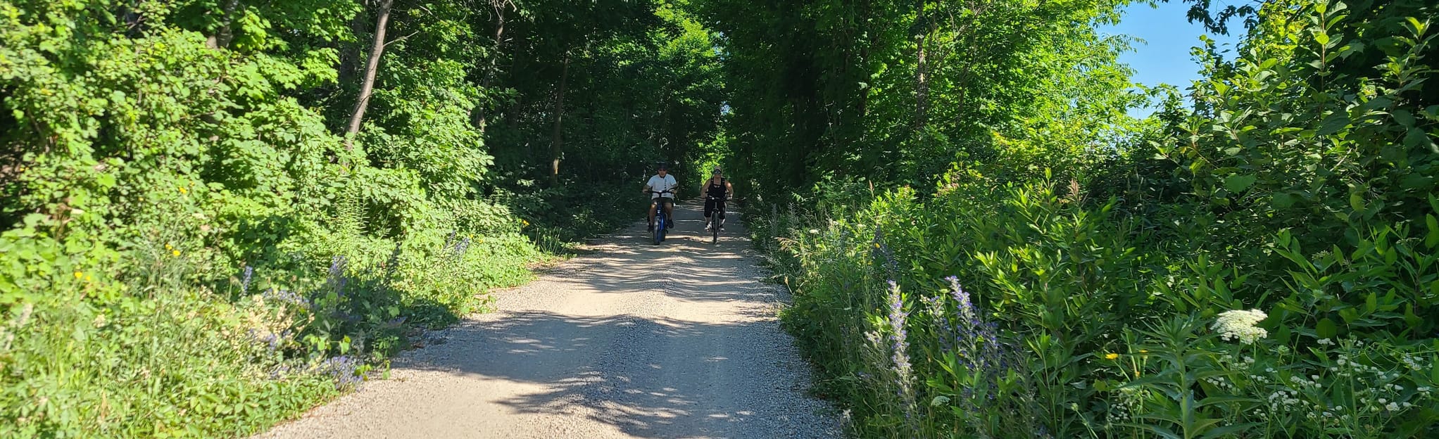 Bruce County Rail Trail: Walkerton to Mildmay, Ontario, Canada - 5 ...