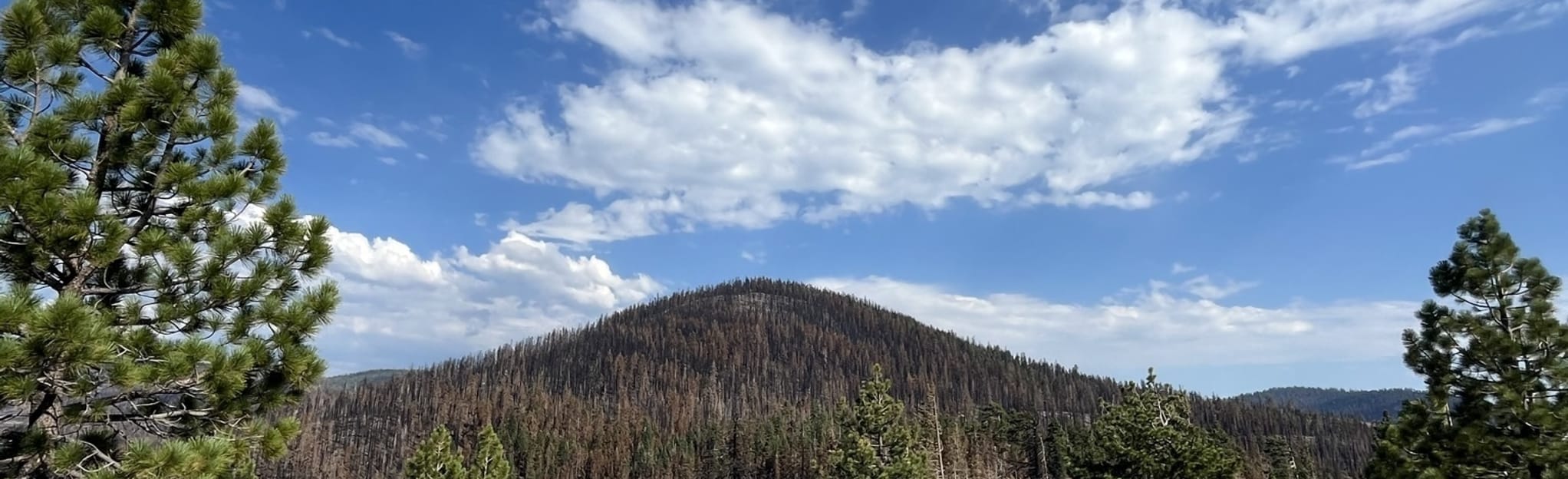 Lover's Leap Climber Approach and Descent Trails: 6 Reviews, Map ...