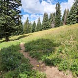 Independence Gulch Trail, Colorado - 43 Reviews, Map | AllTrails