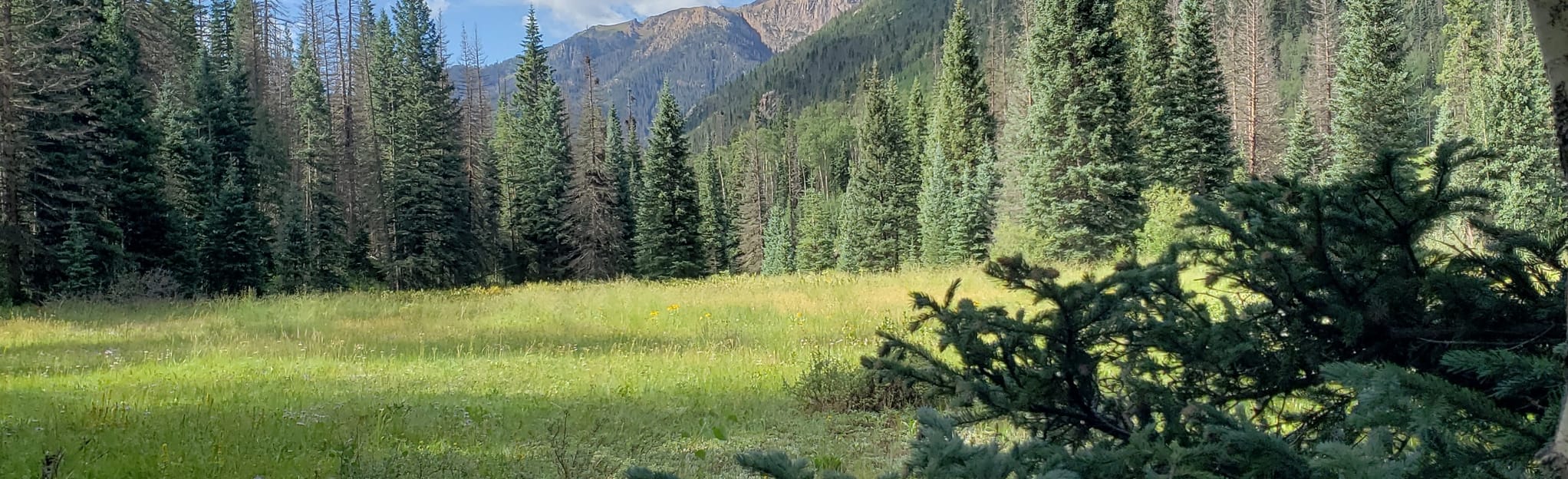 Elk Park Train Stop to Needleton: 49 Reviews, Map - Colorado | AllTrails