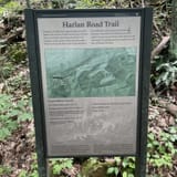 Pinnacle Overlook Trail, Kentucky - 196 Reviews, Map | AllTrails