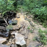 Pinnacle Overlook Trail, Kentucky - 196 Reviews, Map | AllTrails