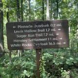 Pinnacle Overlook Trail, Kentucky - 196 Reviews, Map | AllTrails