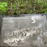 Pinnacle Overlook Trail, Kentucky - 196 Reviews, Map | AllTrails