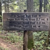 Pinnacle Overlook Trail, Kentucky - 182 Reviews, Map | AllTrails